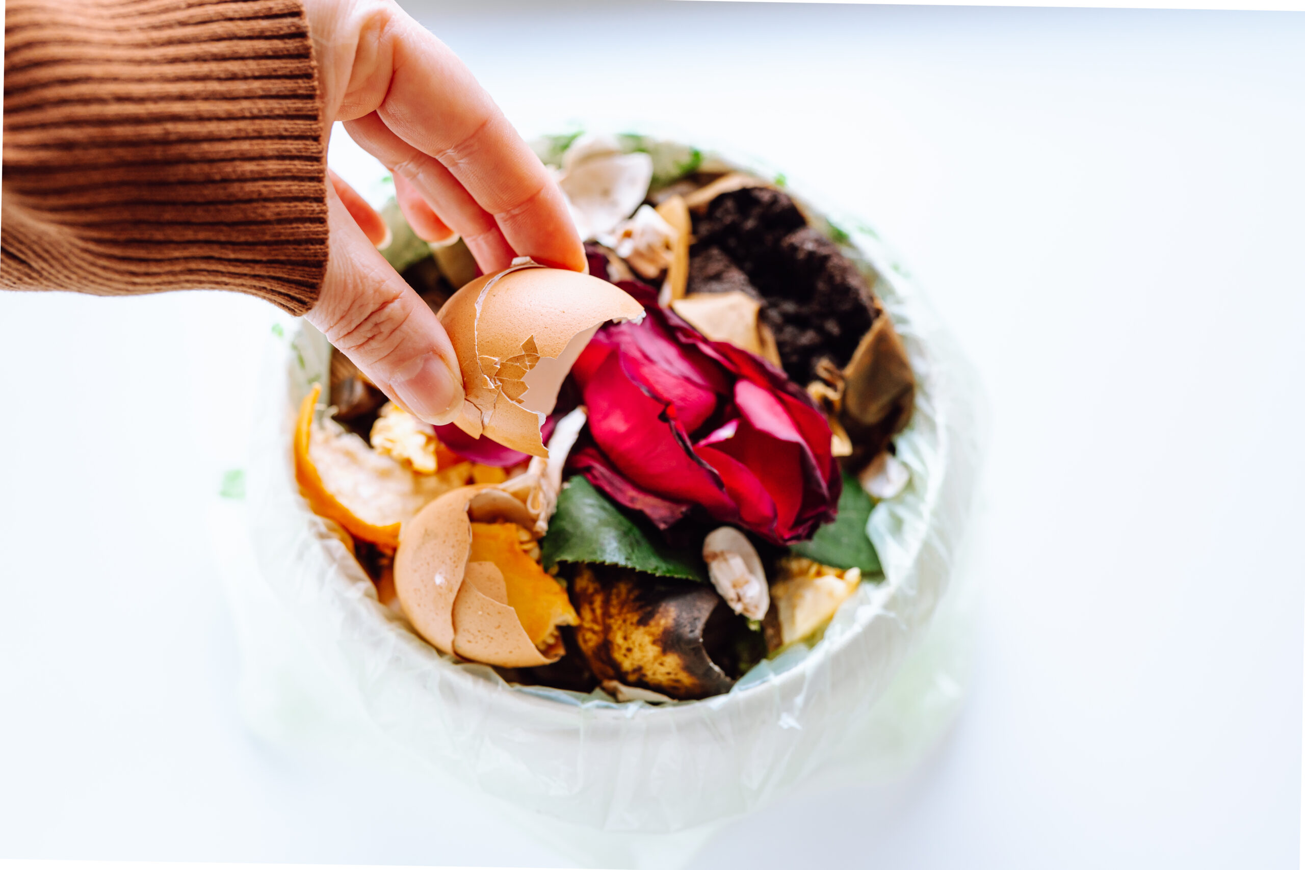 Trash cooking, tendencia actual para cuidar el planeta - Buenos Sabores